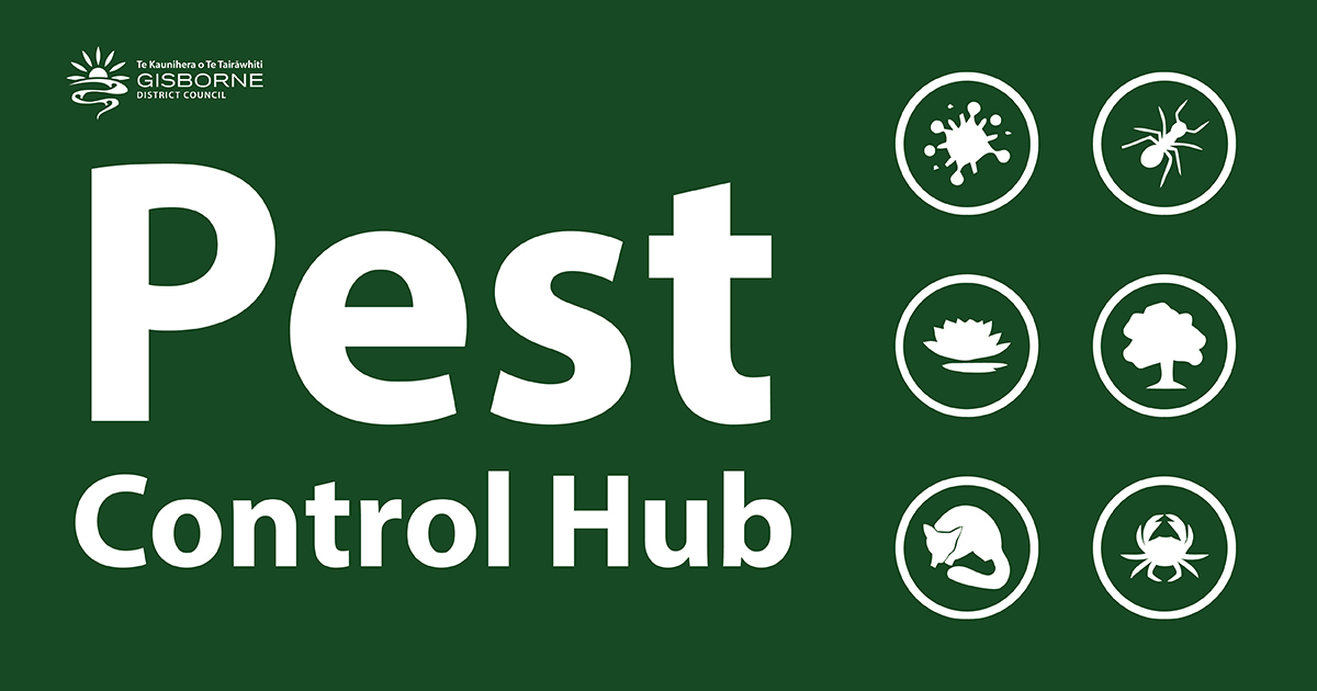 Pests and weeds | Gisborne District Council