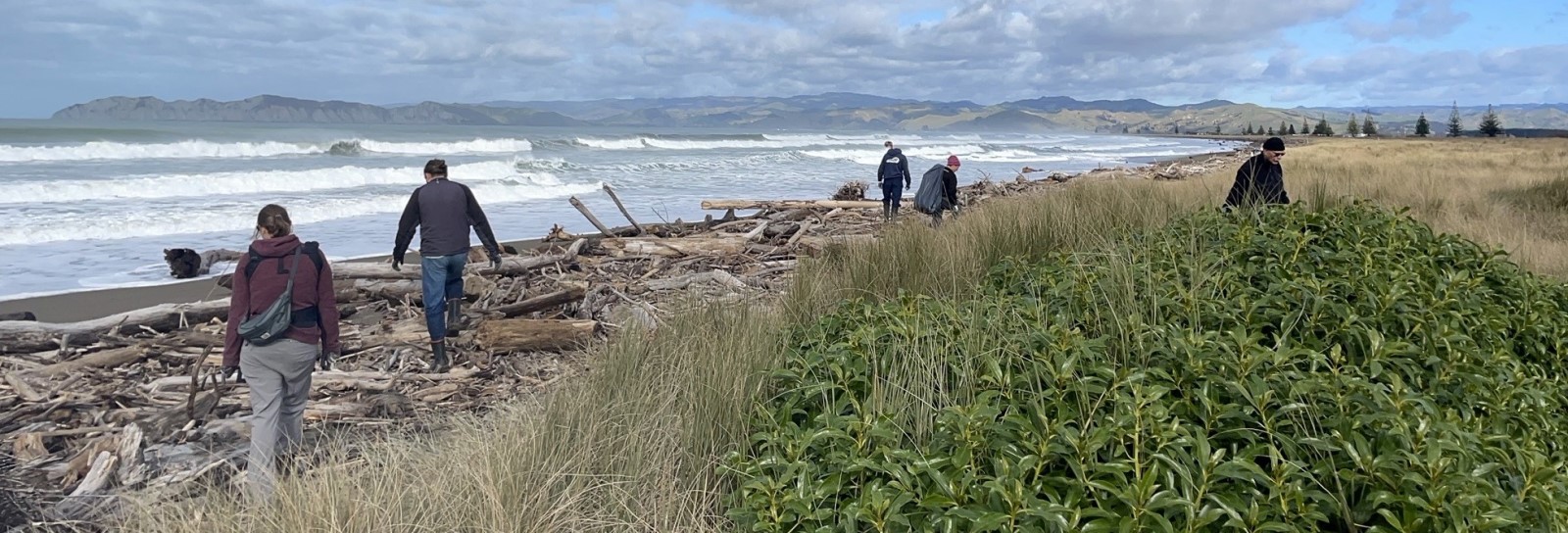 1.3 tonnes of rubbish cleaned up by the community | Gisborne District ...